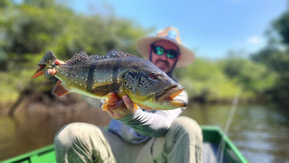 AGUA BOA AMAZON 2025 – Peacock Bass, Arapaima & Jungle Chaos