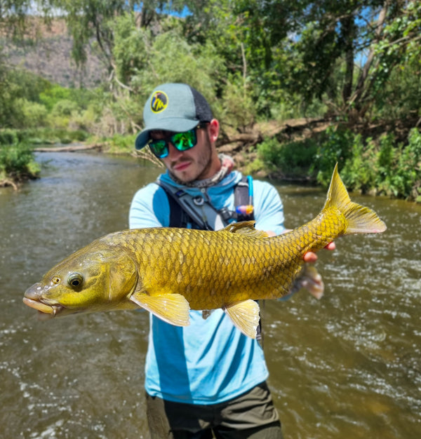 YELLOWFISH ON THE VAAL RIVER