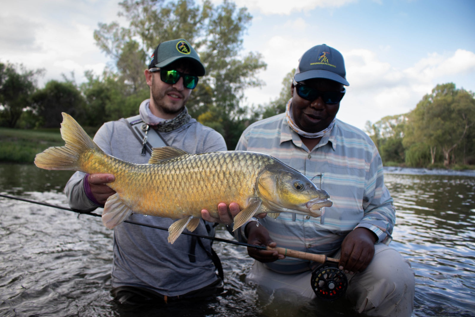 YELLOWFISH ON THE VAAL RIVER