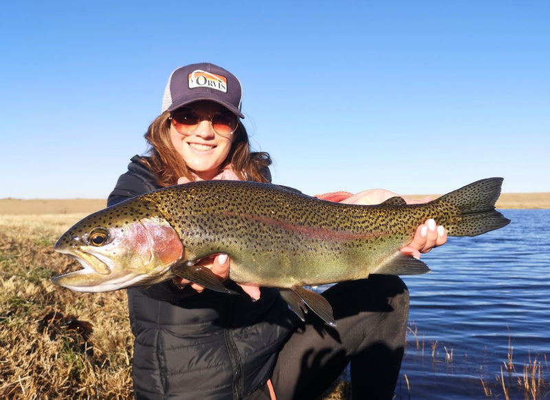 THE HOME OF DULLSTROOM'S MONSTER TROUT
